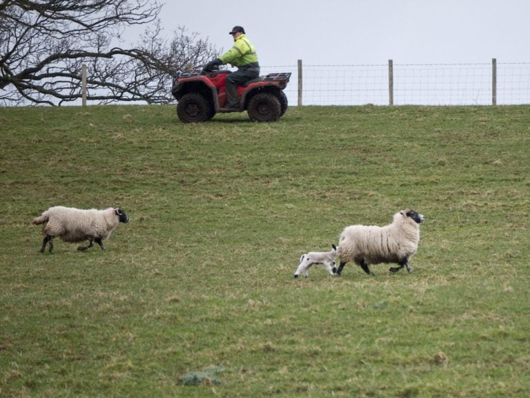 Location & route map – Balfron 10k