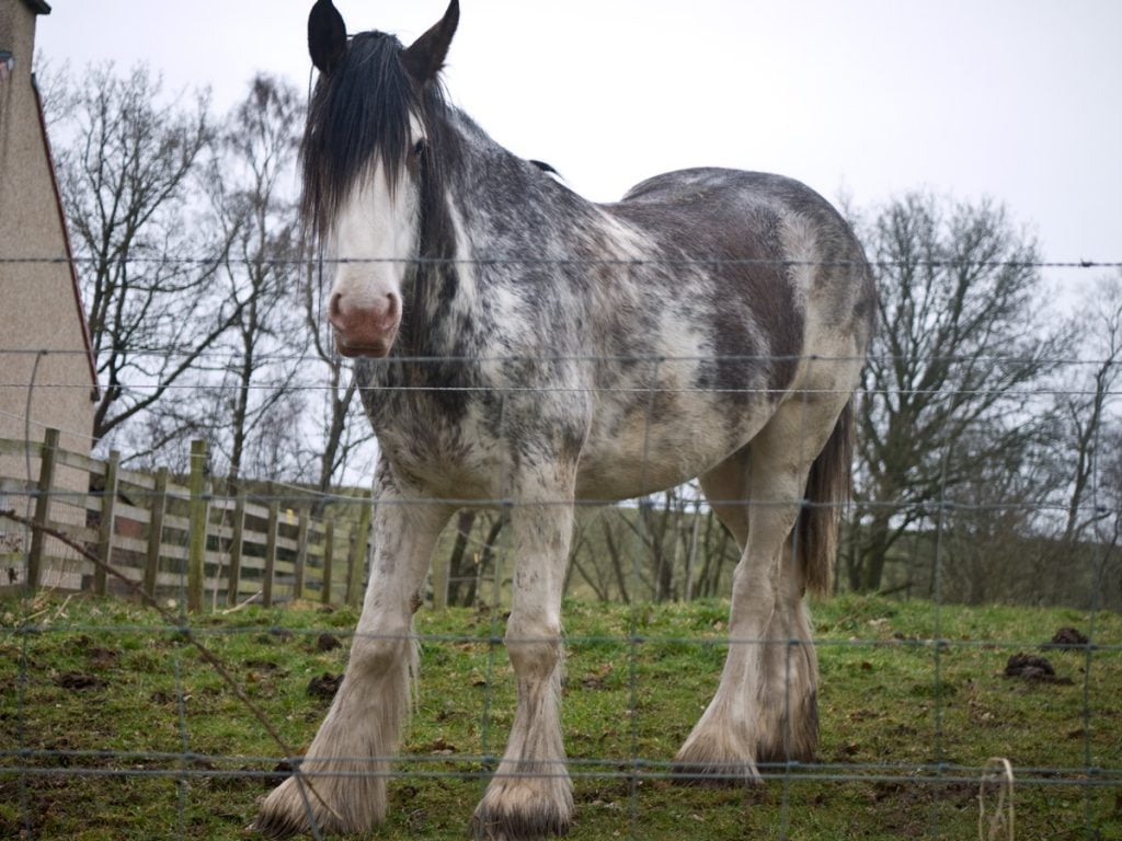 Location & route map – Balfron 10k